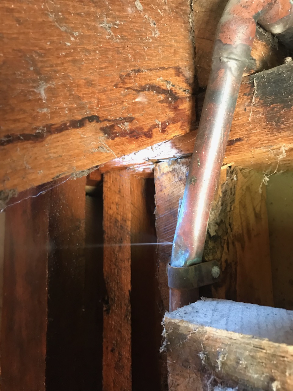 Water leak in house | Melbourne Water & Gas Leak Detection